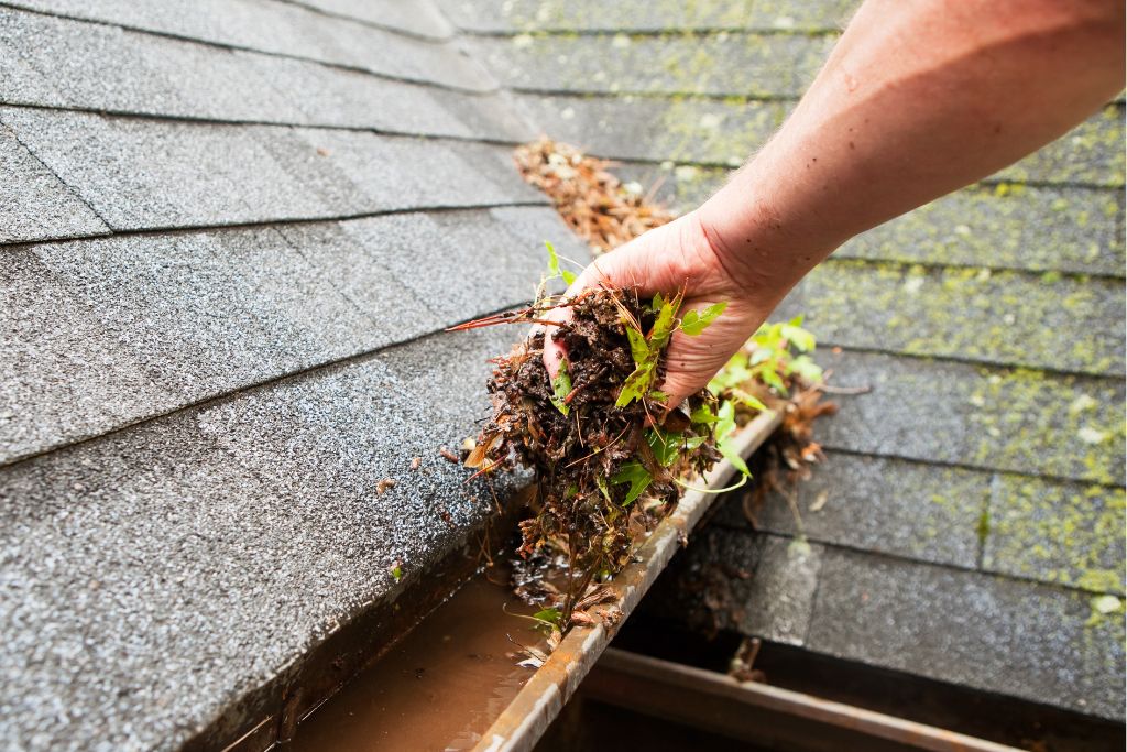 Top 5 Signs Your Gutters Need Cleaning and Why It's Crucial | Sunrise ...